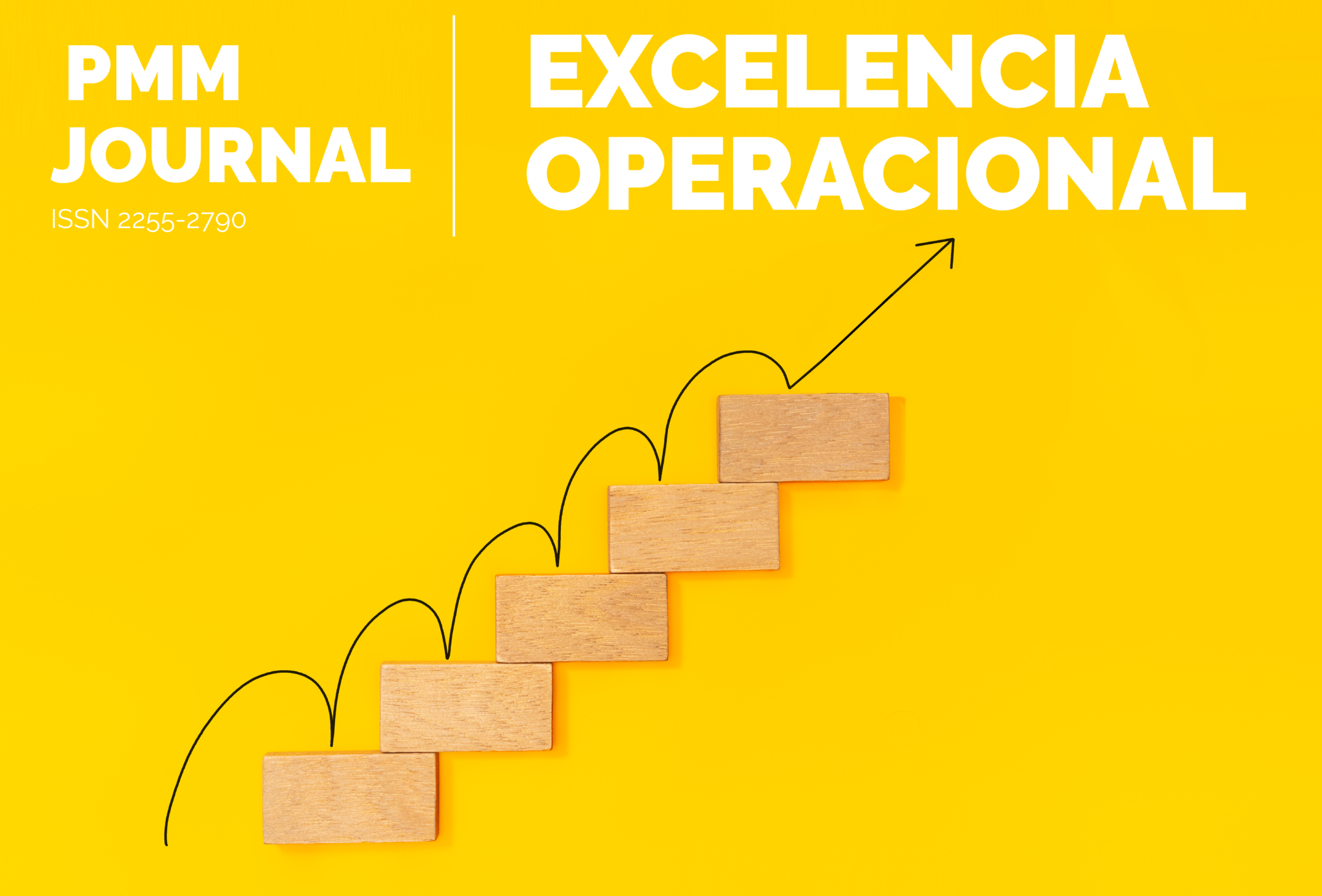 Revista PMM Journal - PMM CIEx