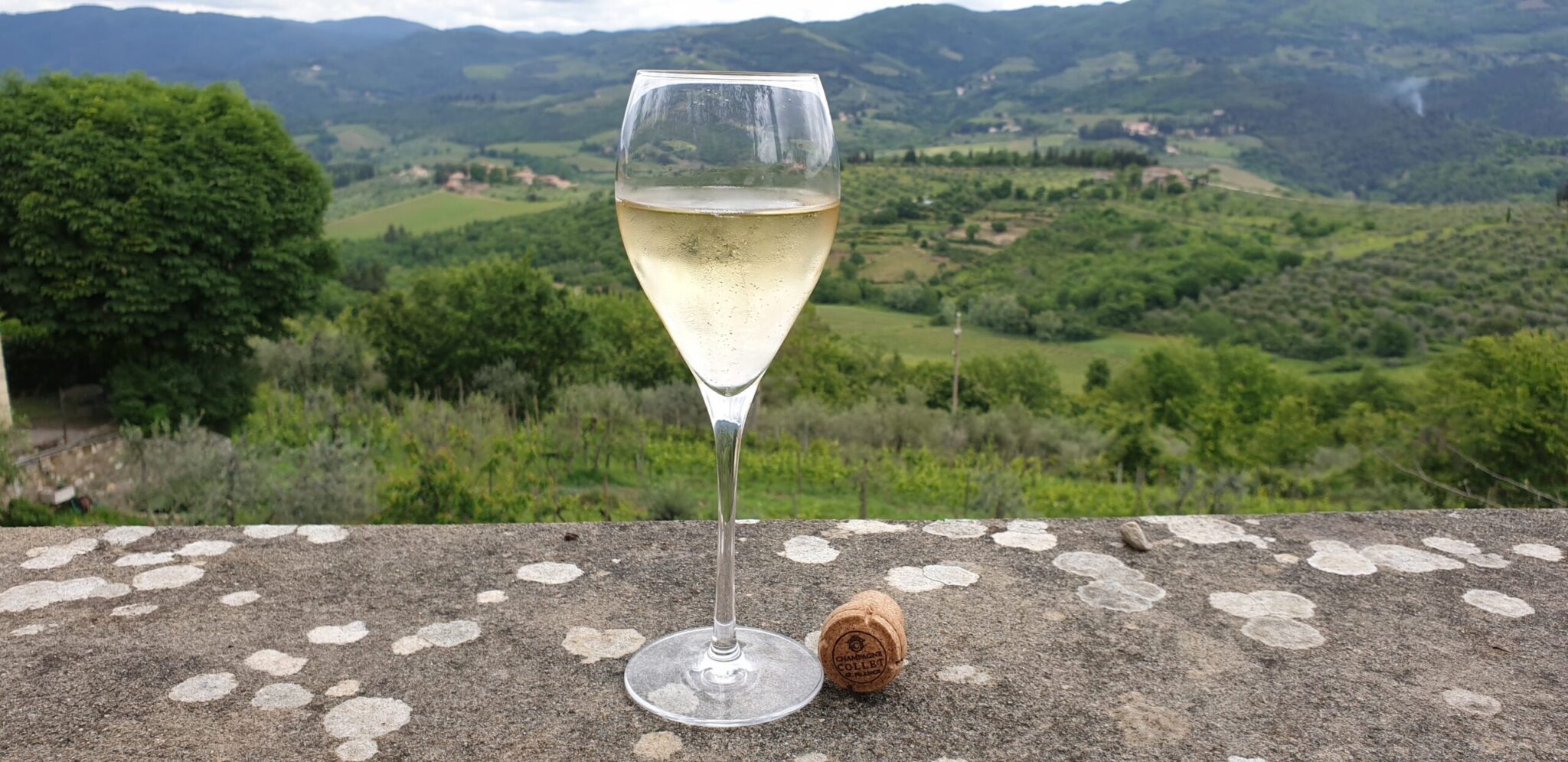 ¿Por qué celebrar? La imagen PMM Journal vol. 31